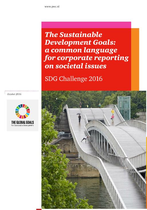 The Sustainable Development Goals: a common language for corporate ...