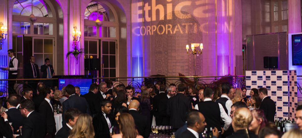 EY EMEIA Financial Services and DSM are the EC Responsible Business ...