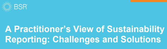 A Practitioner’s View of Sustainability Reporting: Challenges and ...