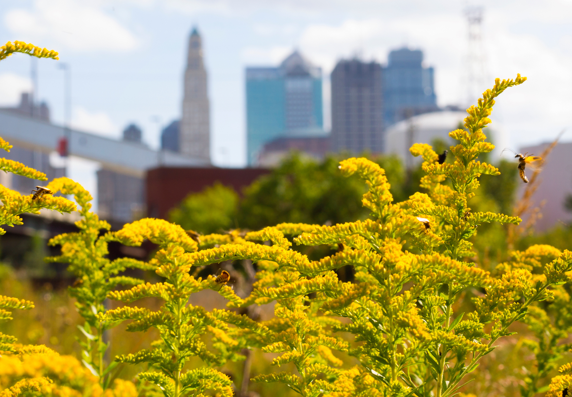 GRI and TNFD make reporting on biodiversity easier – Sustainability ...